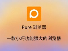 [Android] Pure 浏览器 Google Play版-火哥分享